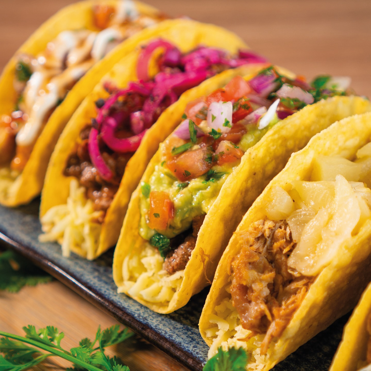 Chilli Willy Florianópolis - Duo Gourmet