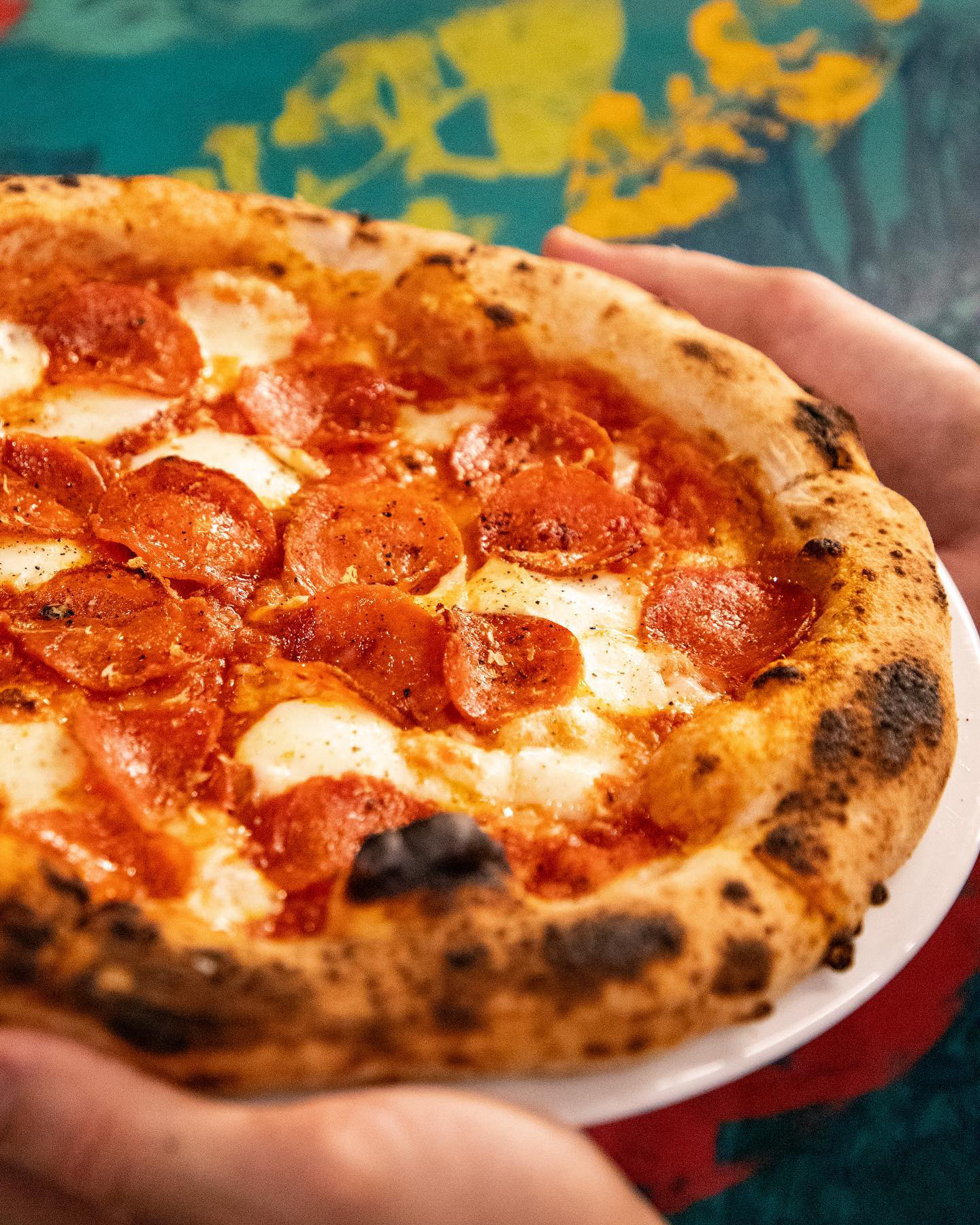 Castália Pizza Brasília - Duo Gourmet